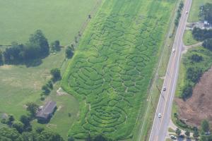 Dickherber Farms | Kids Out and About St. Louis