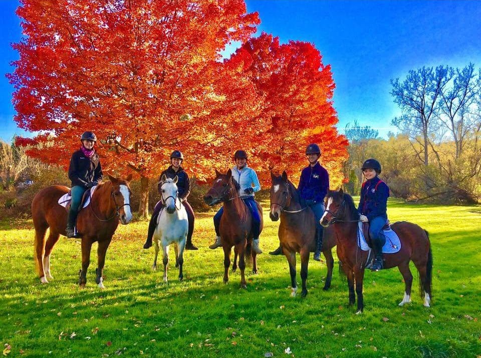 Heberle Stables Horses for All | Kids Out and About Rochester