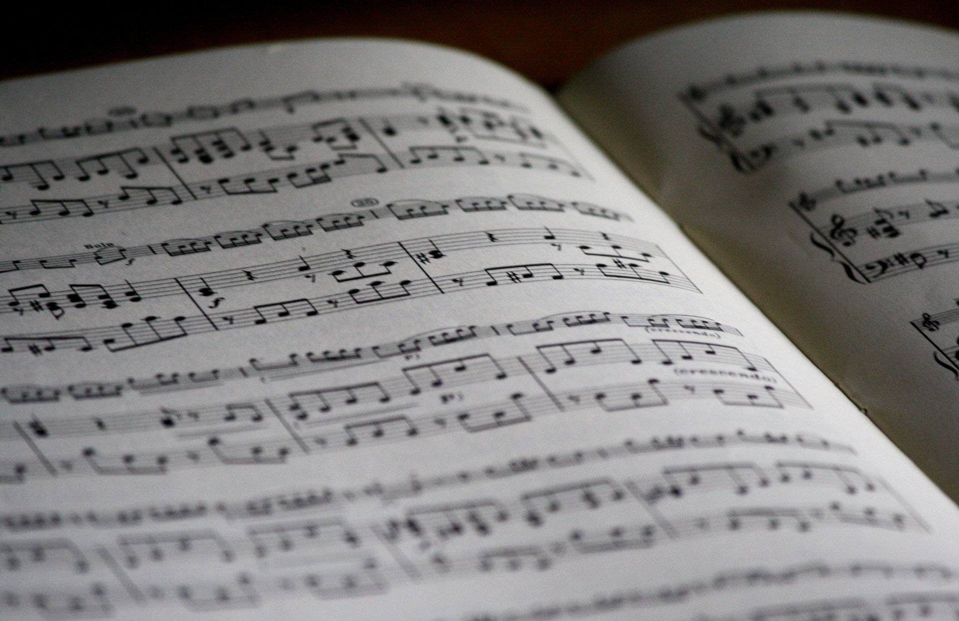 Live Music at the George Eastman Museum: Sanctuary | Beyond the Nest ...