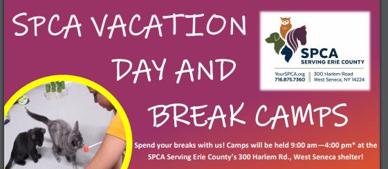 SPCA Camp! | Kids Out and About Buffalo