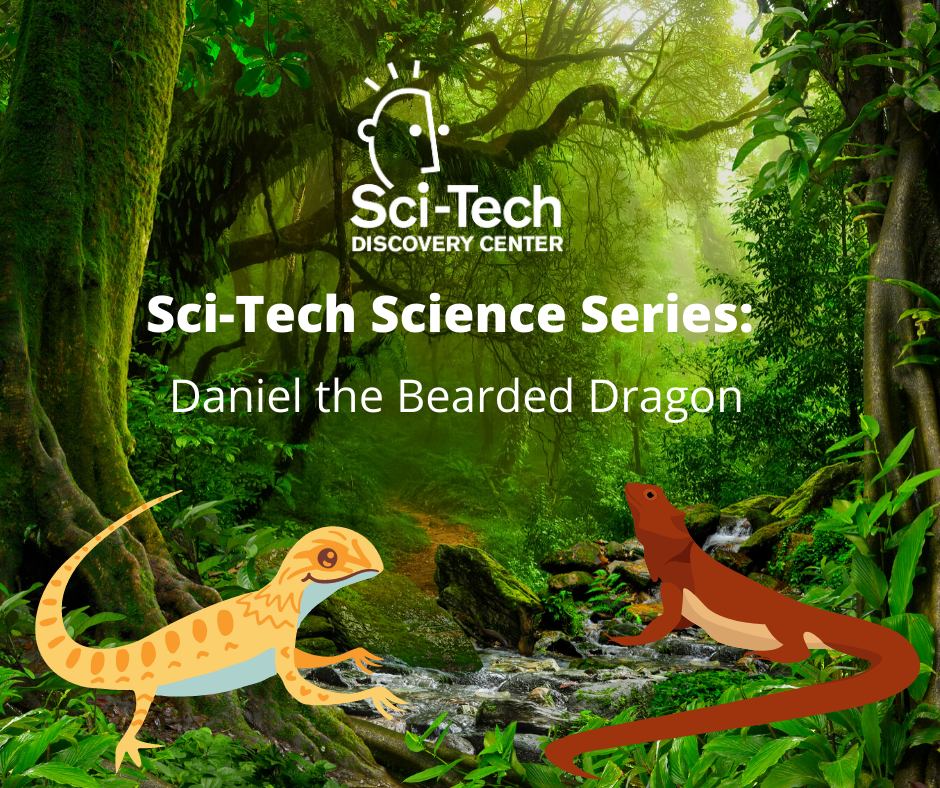 VIRTUAL EVENT: Sci-Tech Science Series: Daniel the Bearded Dragon at ...