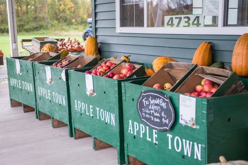 Wayne County Apple Tasting Tour 2025 | Kids Out and About Rochester