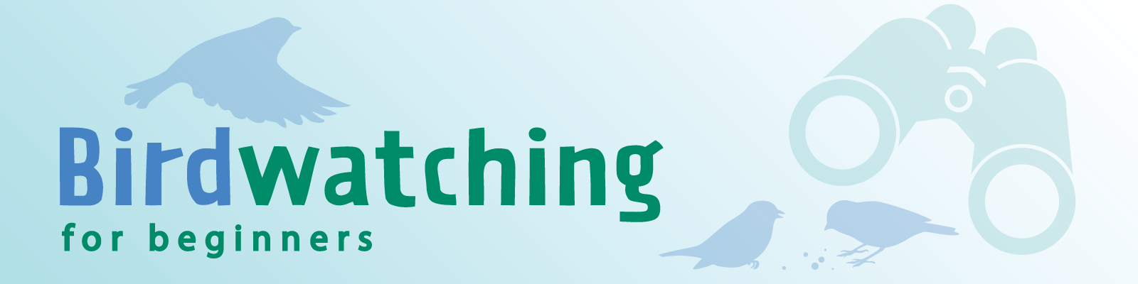 Birdwatching for Beginners - A Virtual series with Belle Isle Nature ...