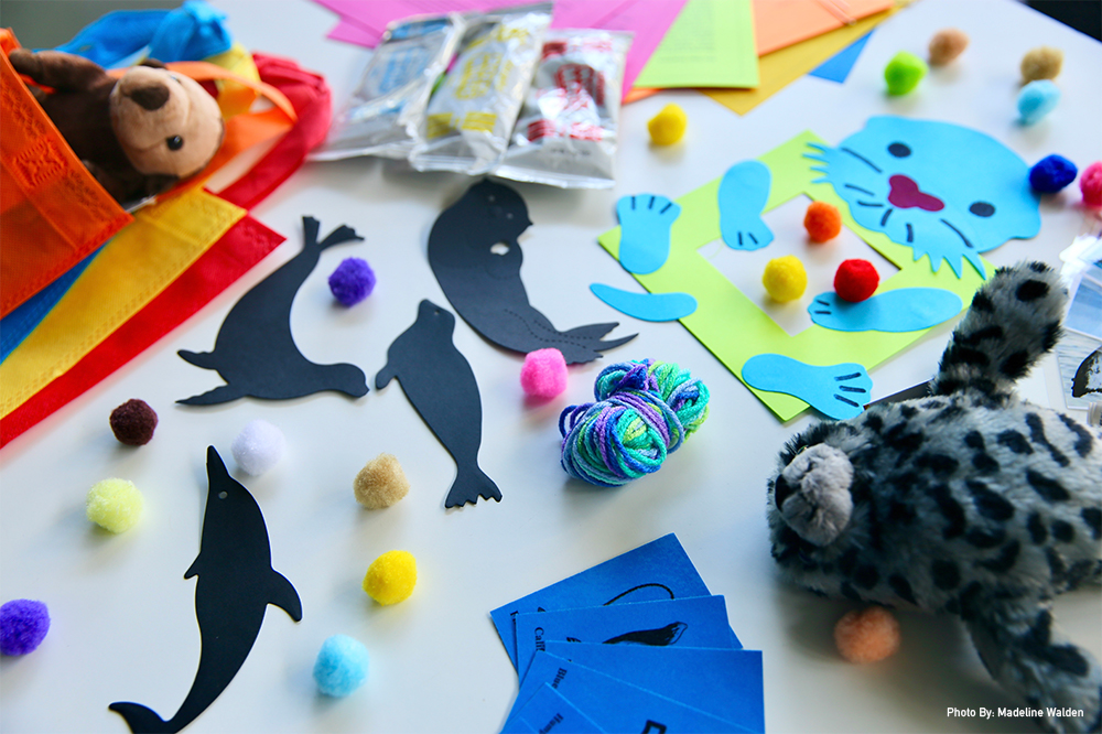 Aquarium Adventures at Home | What’s happening in the Research Triangle