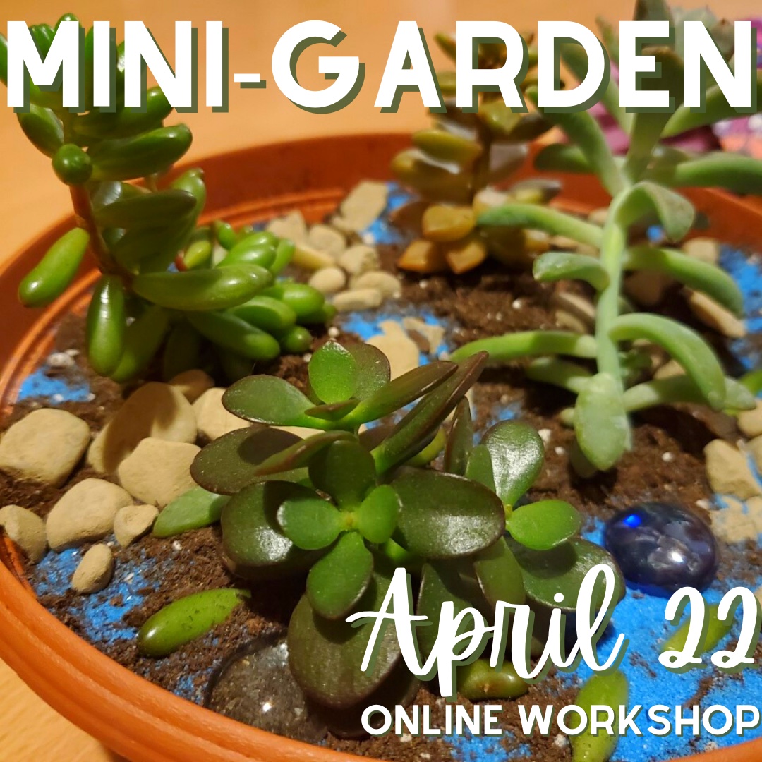 Mini Garden Workshop- Online | What’s happening in Hartford