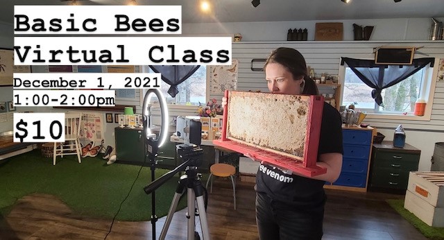 Basic Bees Virtual | Kids Out and About Queens