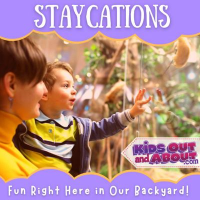 101 Family Day Trips and Staycations around the Mid-Cities / DFW Area ...