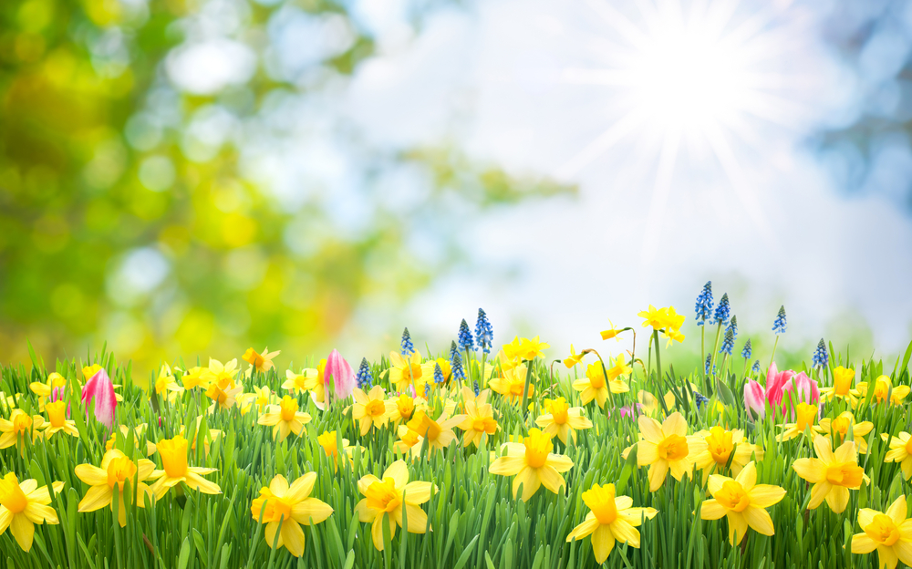 Spring Break Camps in the Atlanta Area | Kids Out and About Atlanta