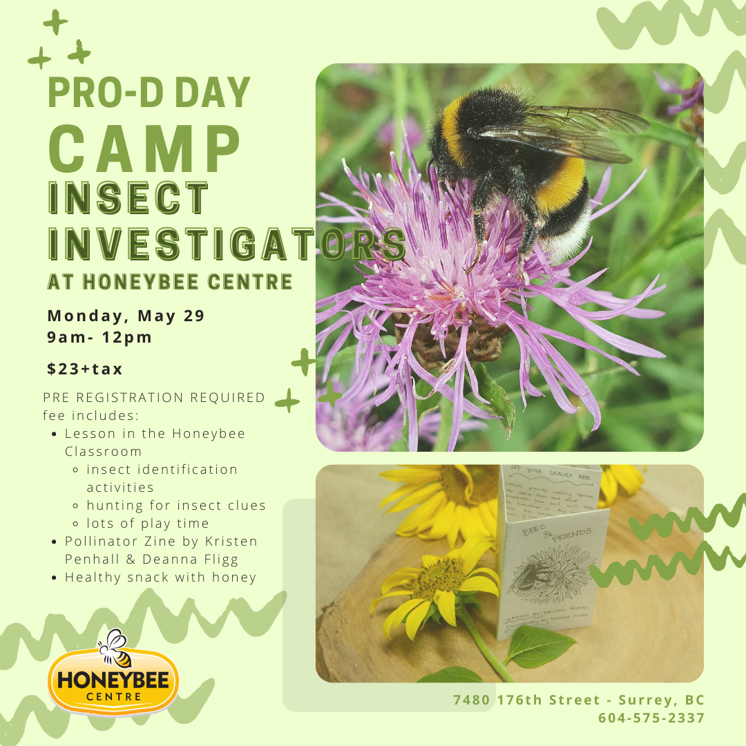 Insect Investigators! Pro-D Day Camp | Kids Out and About Phoenix