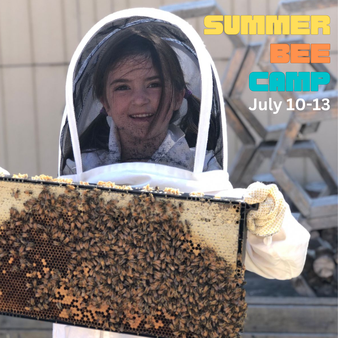 Summer Bee Camp | Kids Out and About Rochester