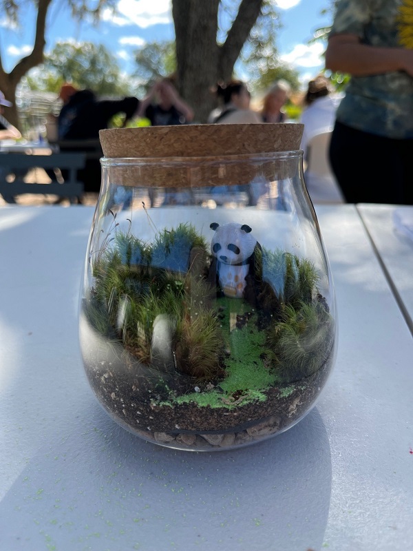 DIY Terrariums: Create Tiny Self-sustaining Ecosystem | Kids Out and ...