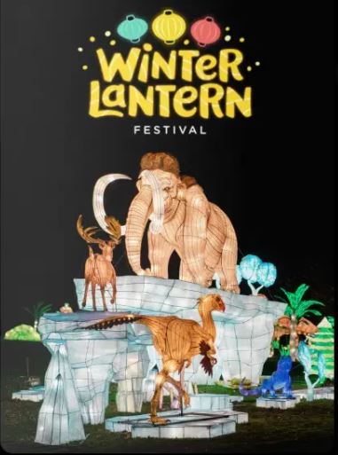 (DMV) Winter Lantern Festival | Kids Out and About DMV