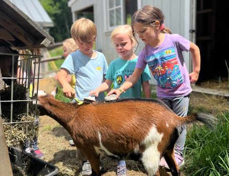 2026 Summer Farmhands Camp at Lachat Town Farm | Kids Out and About ...