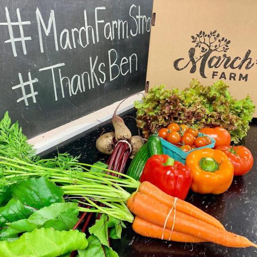March Farm | What’s happening in Westchester