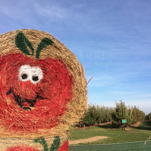 fall orchards indiana