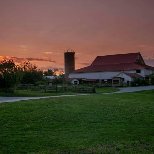Milky Way Farm | Kids Out and About Philadelphia