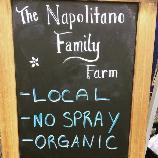The Napolitano Family Farm | Kids Out and About Long Island