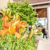 Meri Lou Murray Recreation Center | Kids Out and About Ann Arbor / Detroit