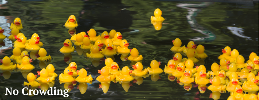 No Crowding - June 1, 2023 | Kids Out and About